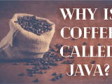 Why Is Coffee Called Java Coffee Hyper