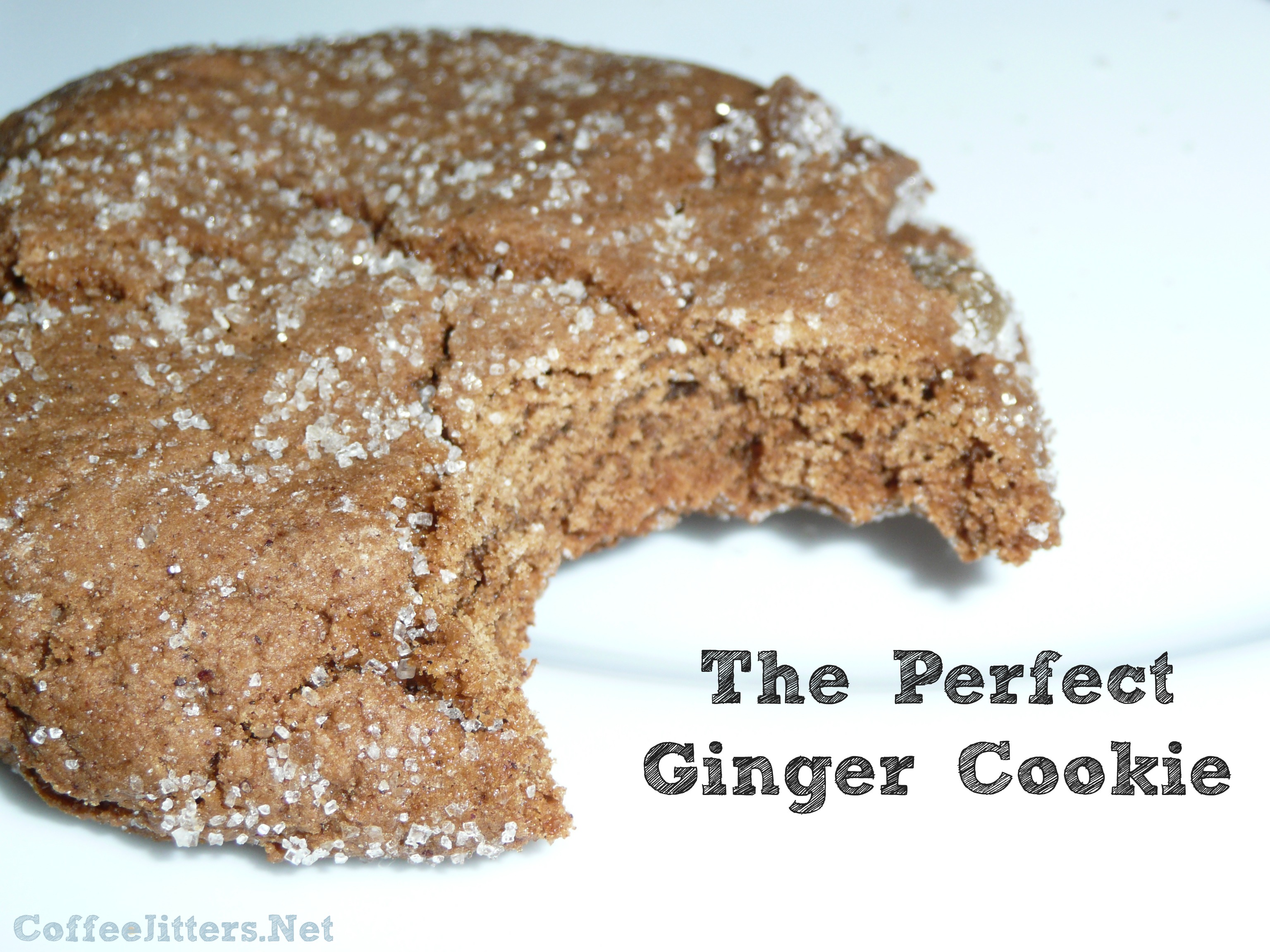 Best Ginger Cookie Ever best-ginger-cookie-ever