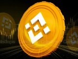 Analyst Identifies Key Levels For Bnb Price Rally To 800