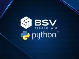 Bsv Blockchain Now Has An Sdk For Python Developers