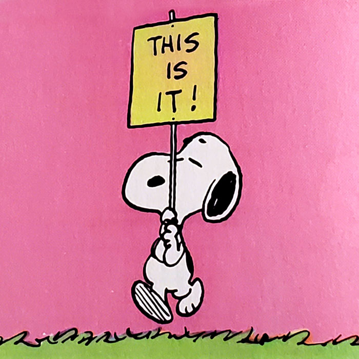 This Is It - CollectPeanuts.com