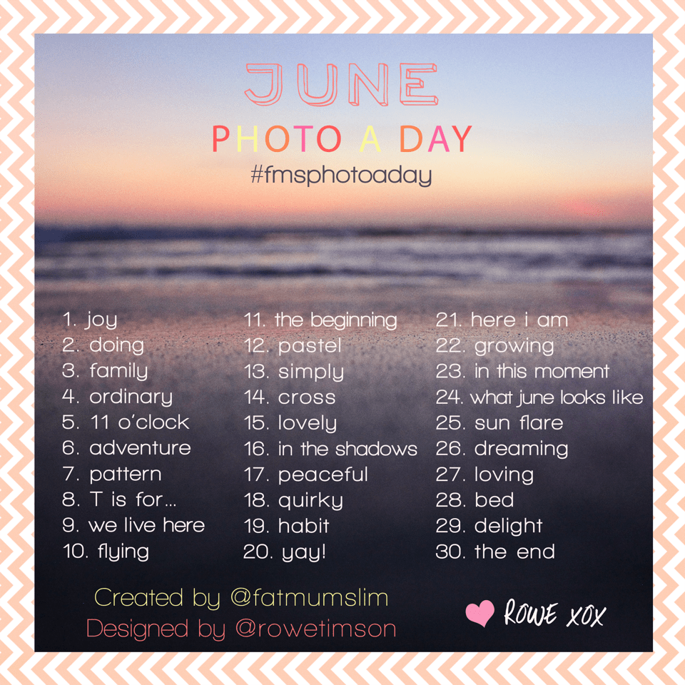 June 2014 FMS Photo-a-Day Challenge | Coll Writes