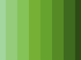 Shades Of Verde Color Palette Colordrop