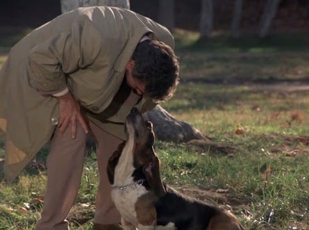A Lieutenant’s best friend: Columbo and Dog – THE COLUMBOPHILE BLOG