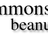 Commons Apache Commons Beanutils