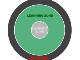 Leaderful Organizing Tool Comfort Learning And Panic Zones