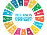 La Explicación De Los 17 Objetivos De Desarrollo Sostenible Ods
