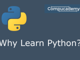 Why Learn Python