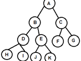 Binary Representation Of Binary Tree