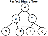 Binary Tree In Data Structures