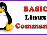 ल नक स क कम ड Computer Hindi Notes