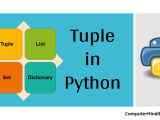 Tuple In Python Computer Hindi Notes
