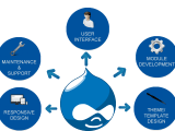 Drupal Module Development Services Comx Technologies