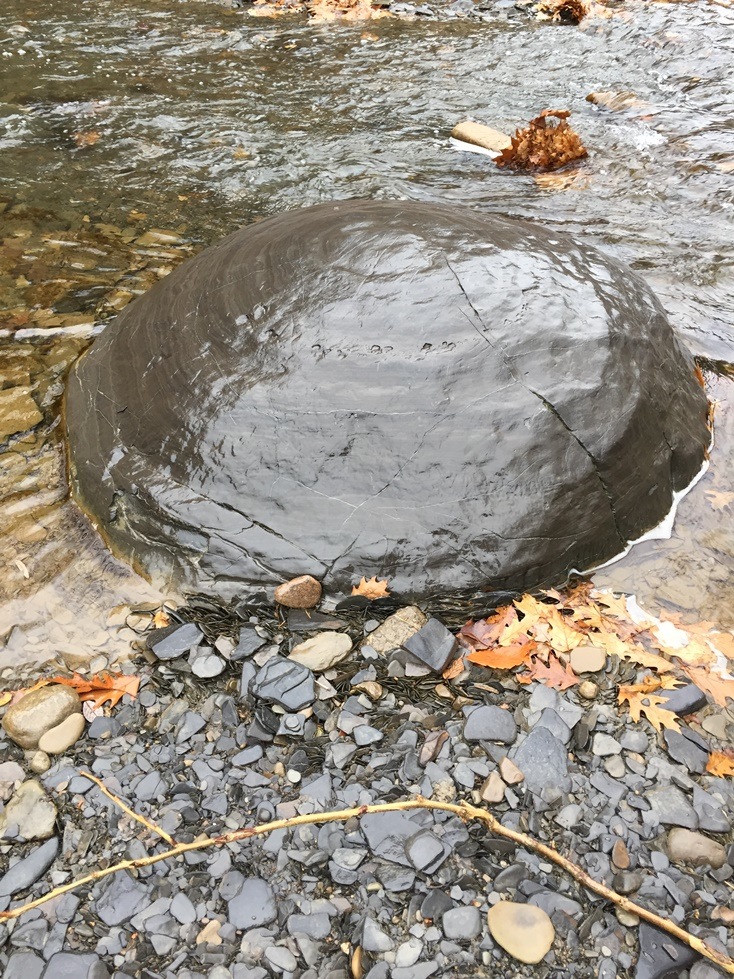 Steelhead Trips 2015 – Concord Outfitters