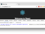 Getting Started With React Conduct Of Code