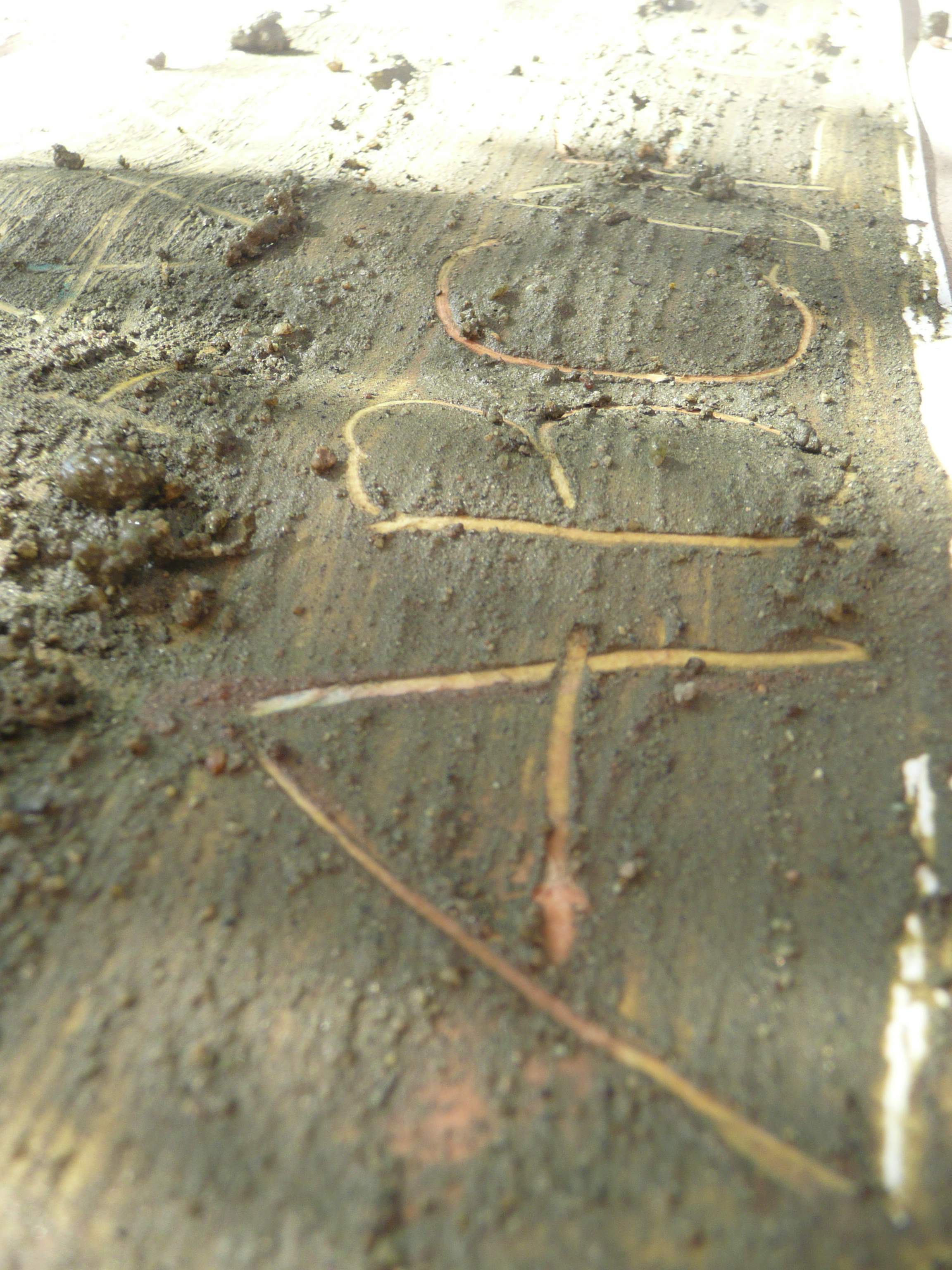 MUD painting - A Mom With A Lesson Plan