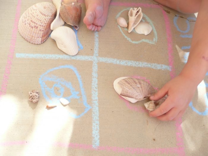 classifying shells...OCEAN fun - A Mom With A Lesson Plan