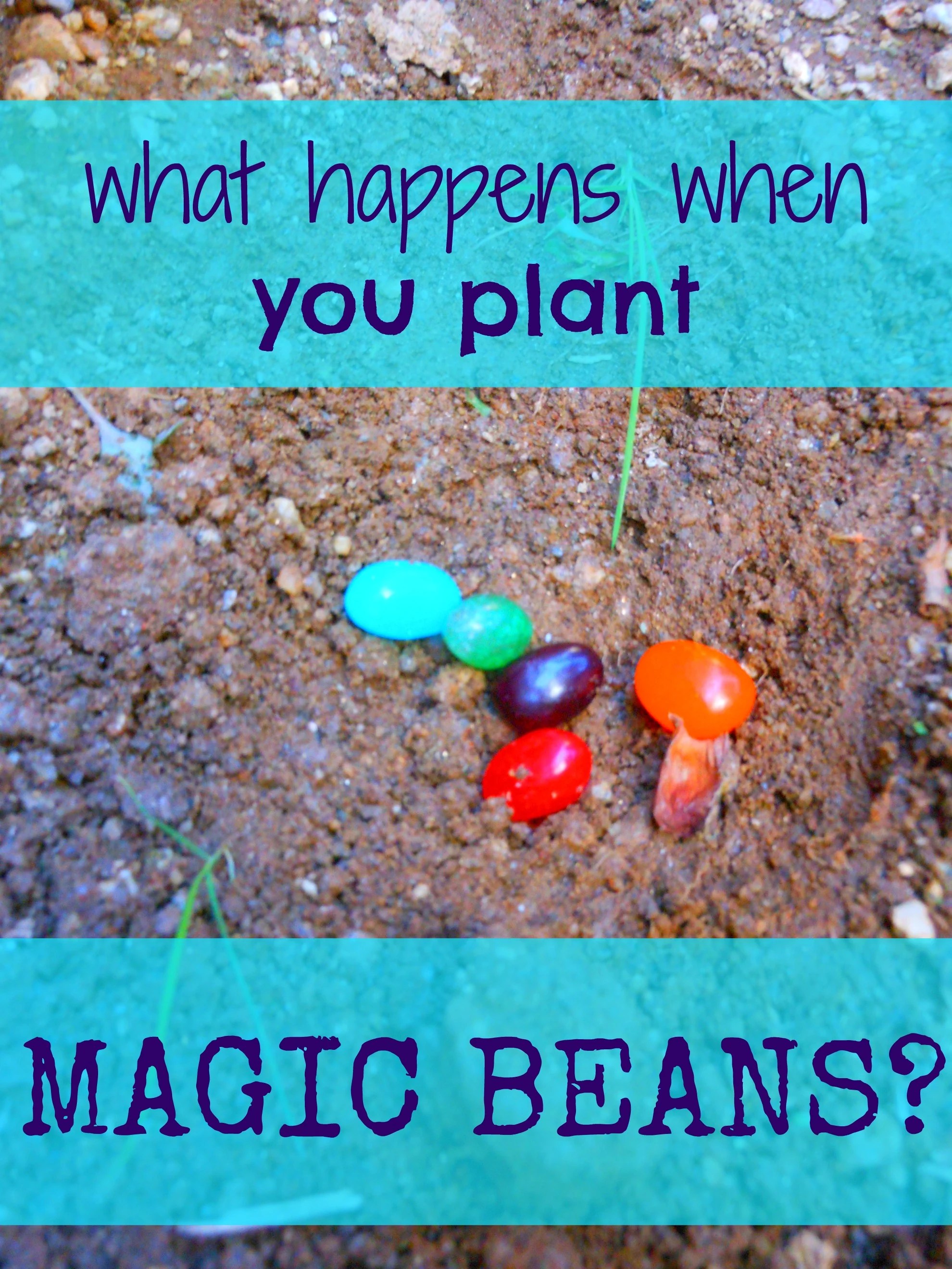 SLEEP OVER magic... magic beans | Confidence Meets Parenting