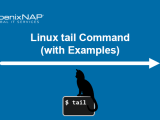 Linux Tail Command With Examples C盻冢g ﾄ雪ｻ渡g Linux
