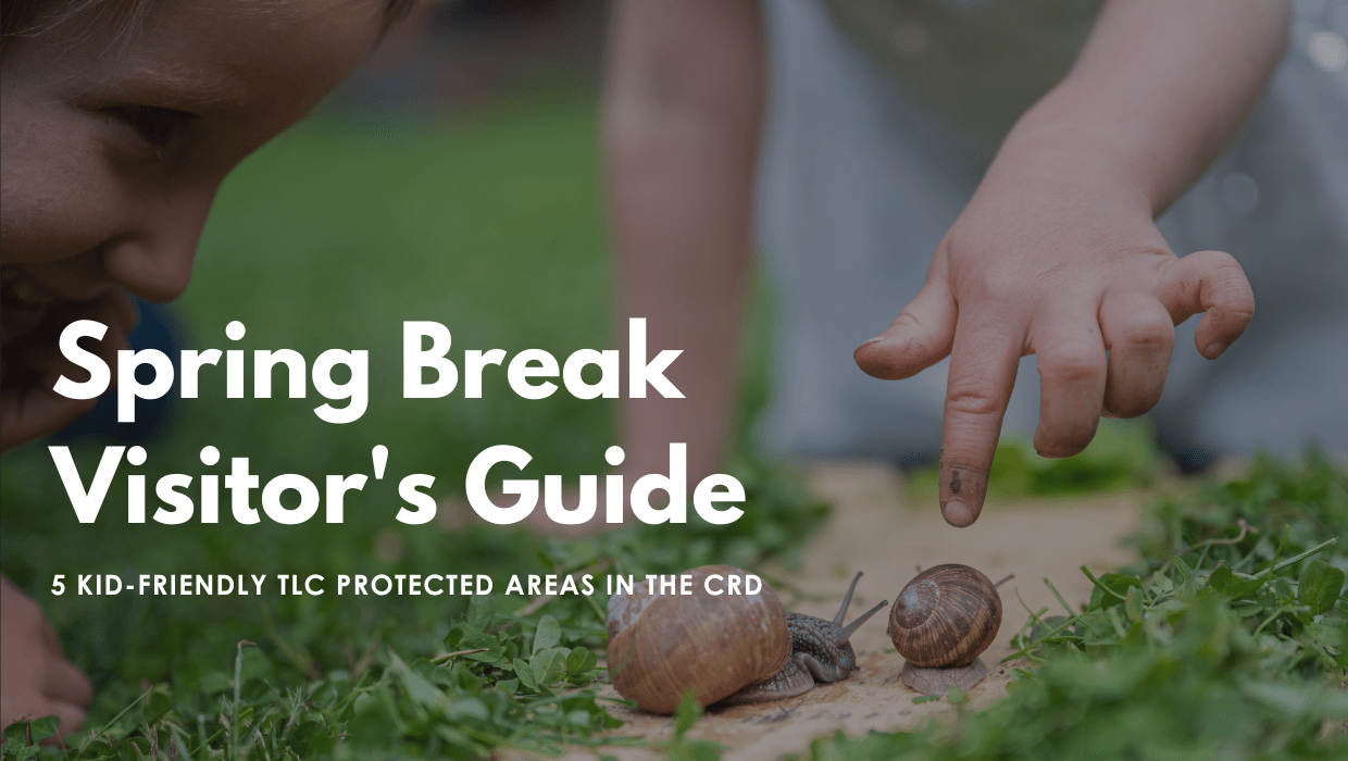 Spring Break Visitor’s Guide: 5 Kid-friendly TLC Protected Areas in the ...