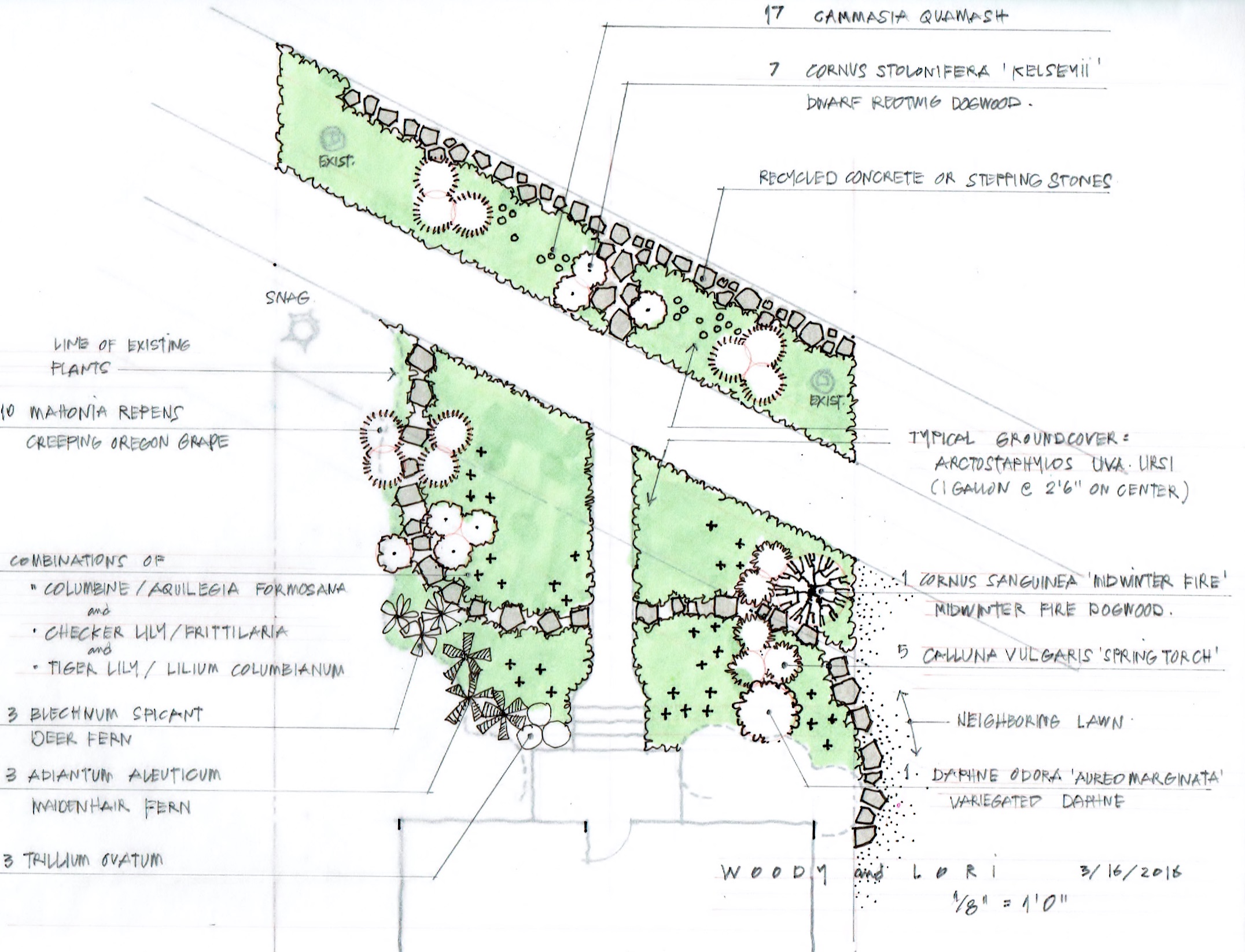 When Yards Go Native – Conservation Catalyst