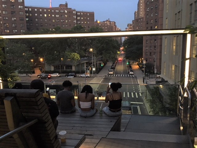 NYC’s High Line a Triumph in Urban Green Space Design – Conservation ...