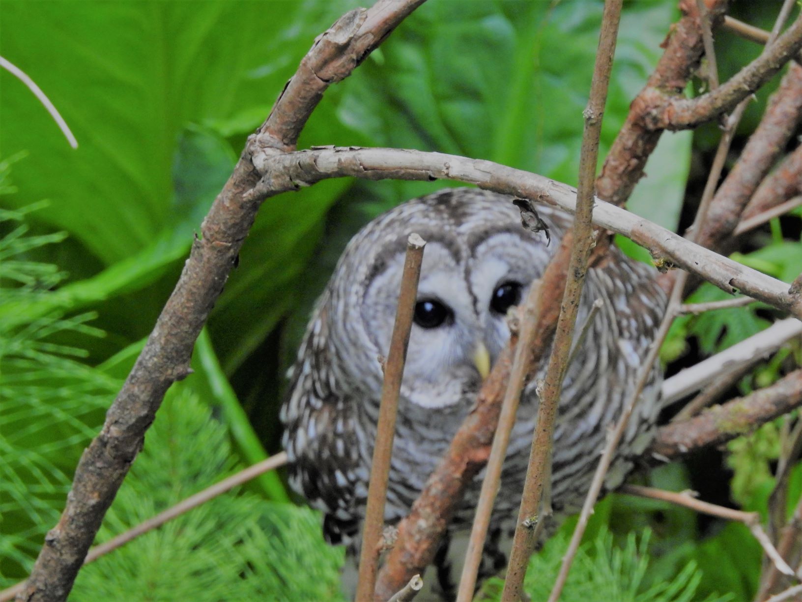 Blog – Conservation Catalyst