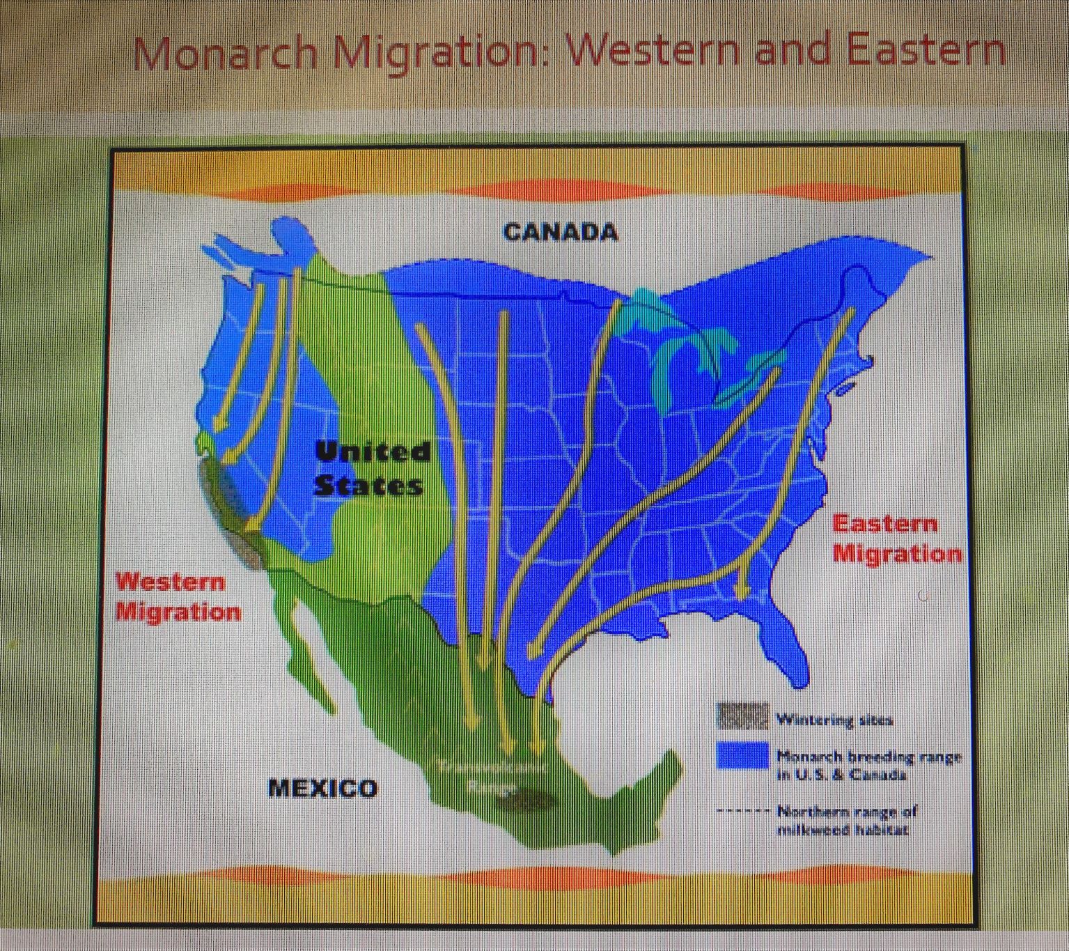 Blog – Conservation Catalyst