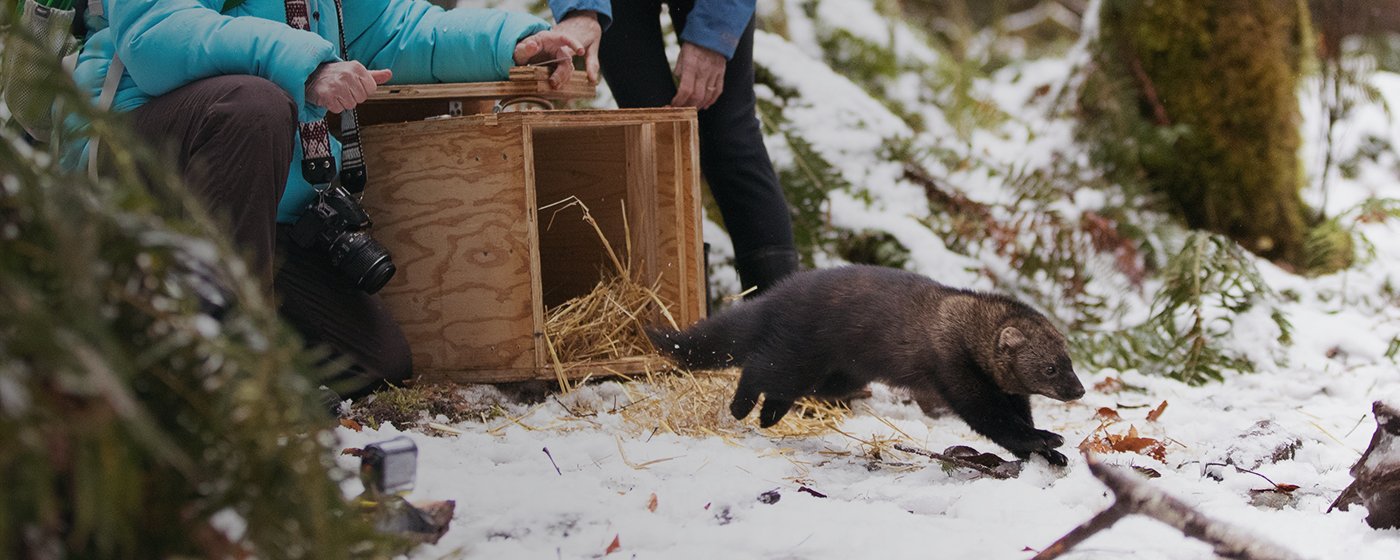Creative Ways to Give - Conservation Northwest - Protecting, Connecting ...