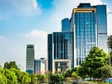 Consulting Conserve Solutions