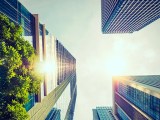 Consulting Conserve Solutions