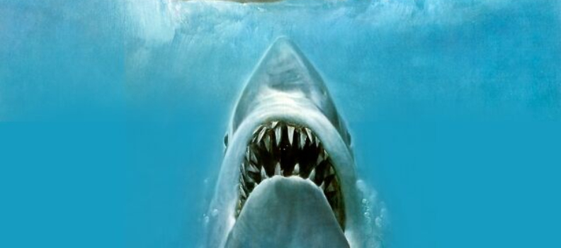 ‘Shark Week 2021’ Kicks Off With an Airing of ‘Jaws’ on Discovery ...