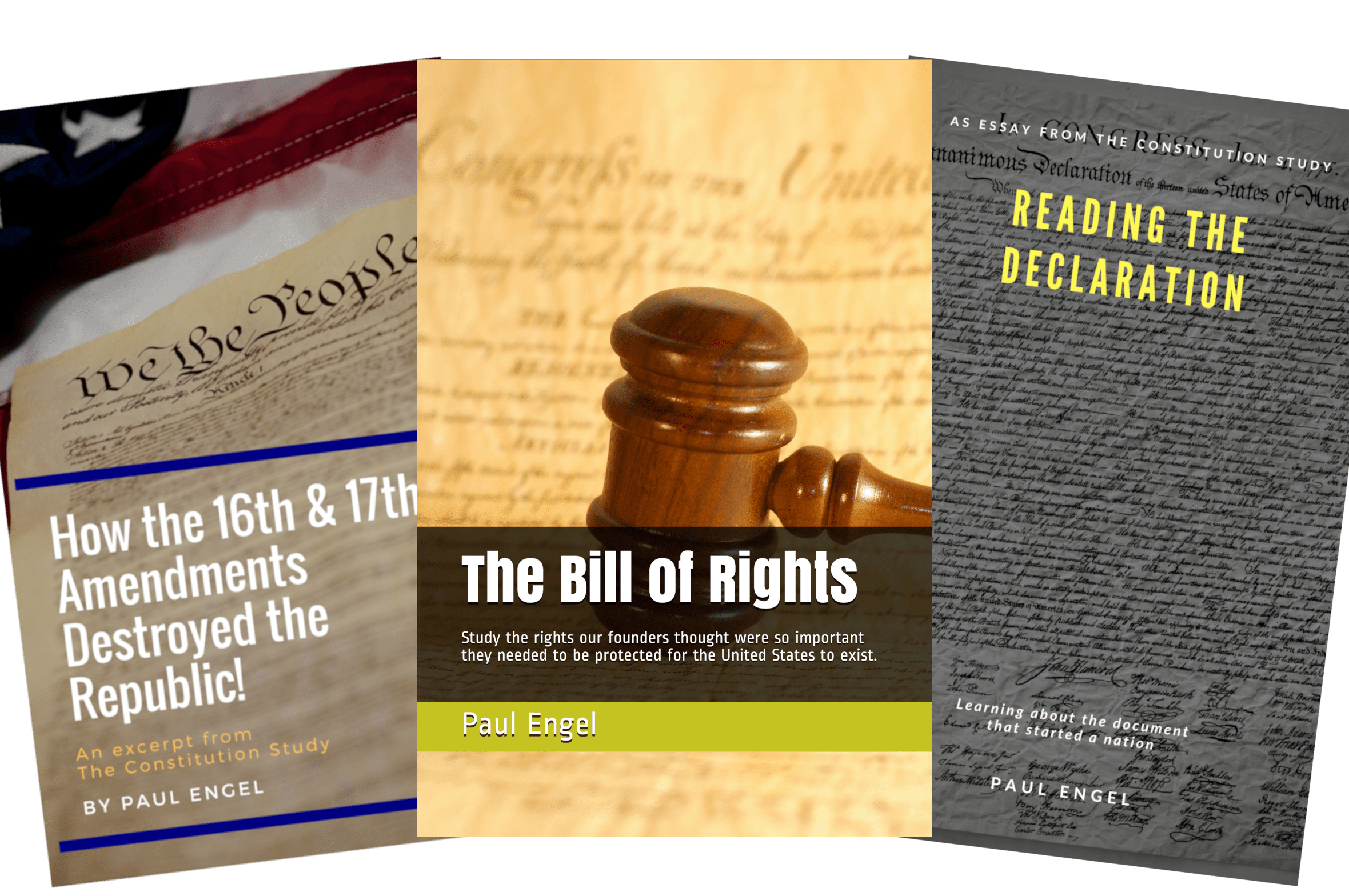 Book Bundle – The Constitution Study
