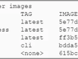 Strengthening Container Security Through Docker Image Vulnerability