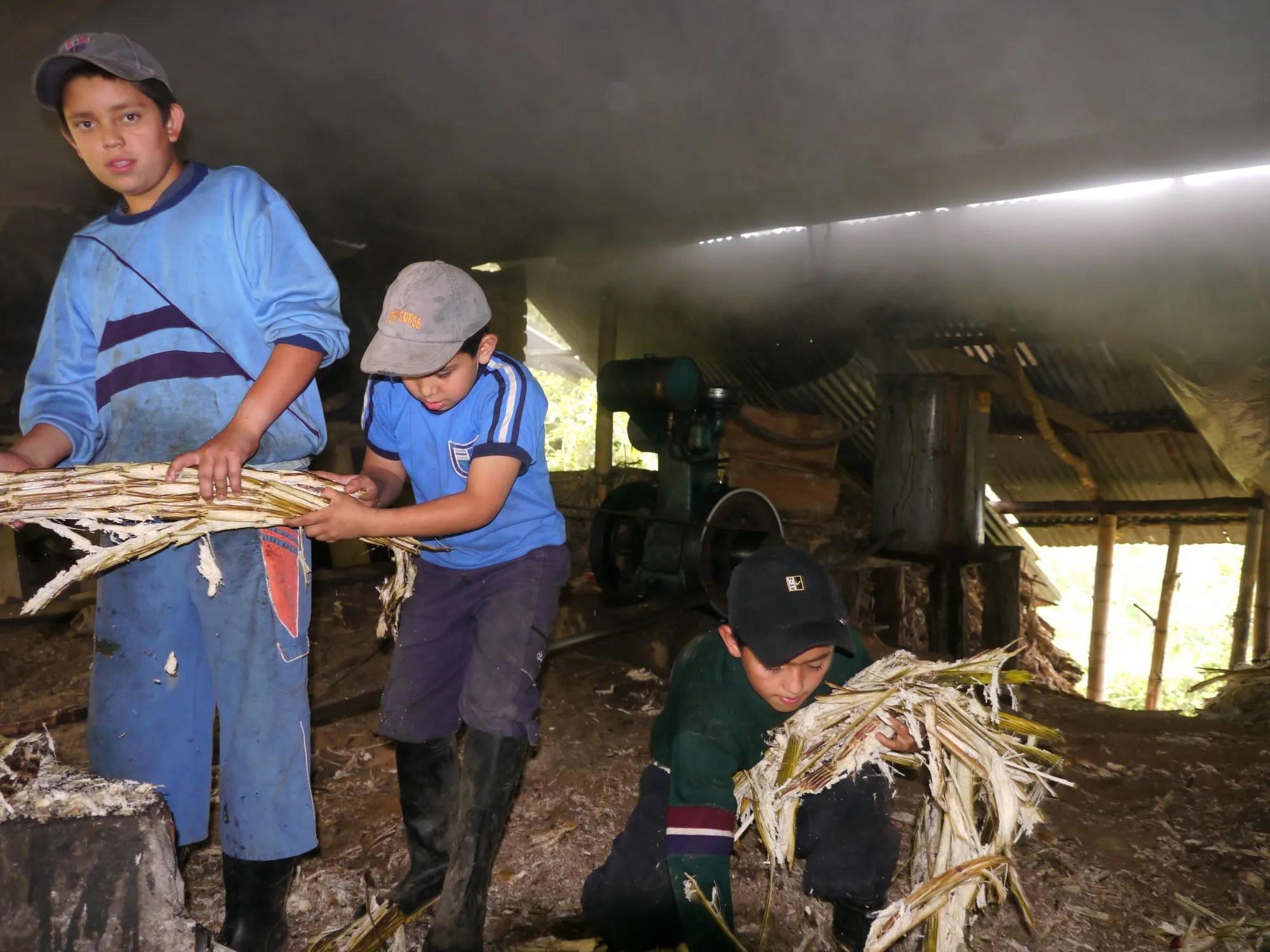 Making Panela Sugar Blocks Instructables