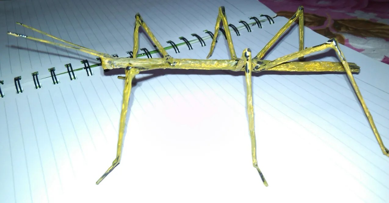 Stick Insect Make At Home 4 Steps Instructables