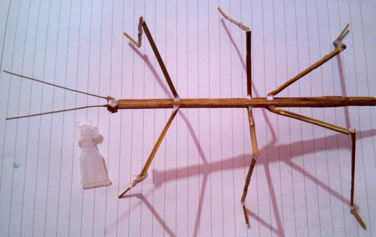 Stick Insect Make At Home 4 Steps Instructables