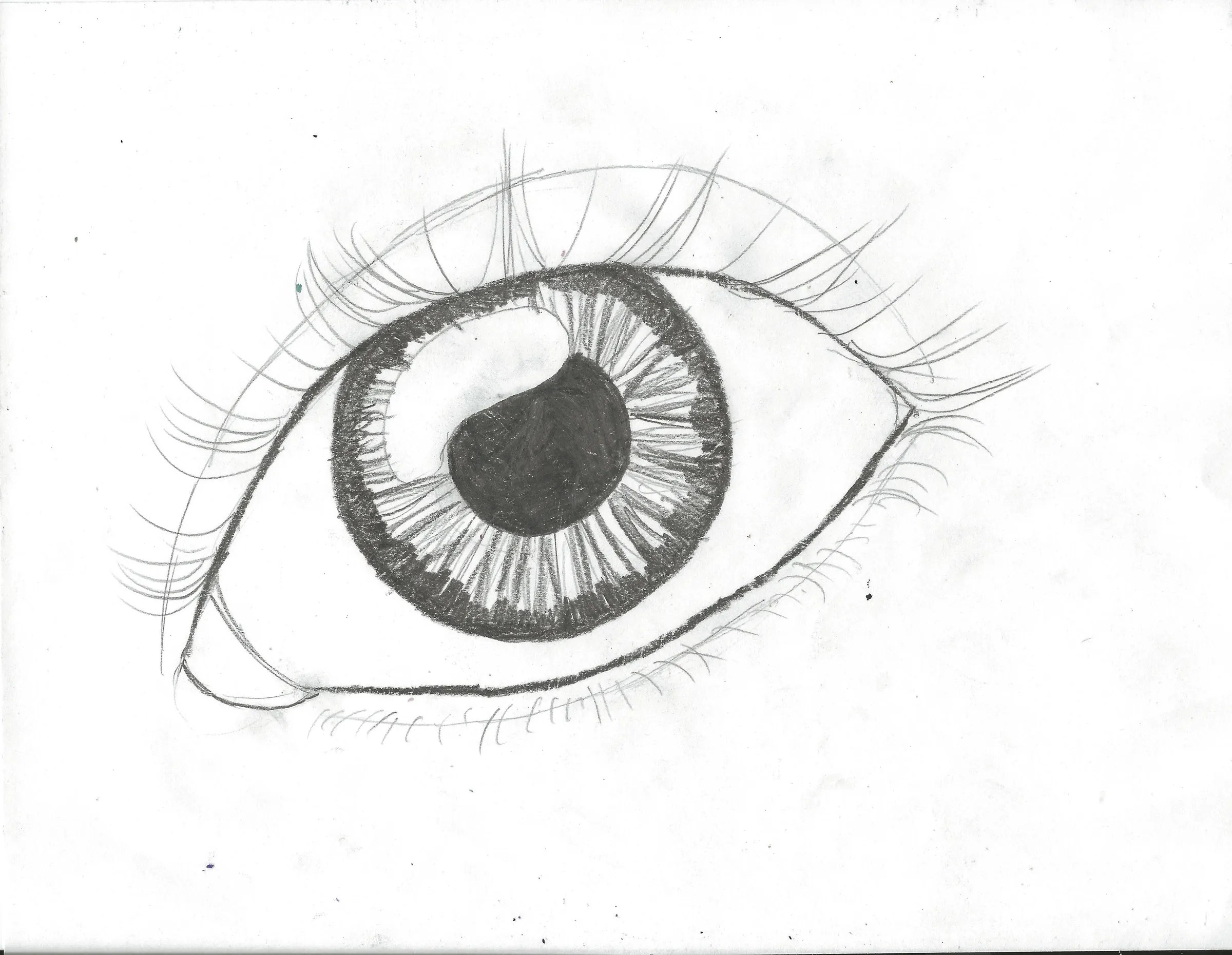 How To Draw Basic Eyes