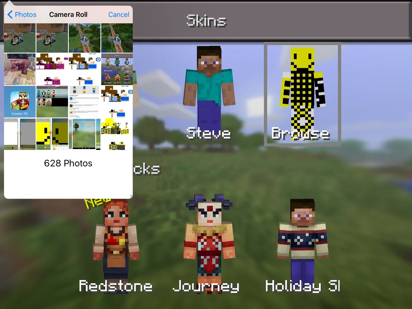 Pc Minecraft Skin Creator