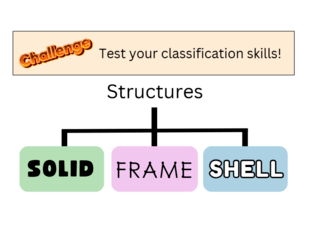 Classifying Structures Free Activities Online For Kids In 5th Grade By