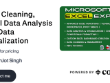 Data Cleaning Excel Data Analysis And Data Visualization By Karanjot Singh
