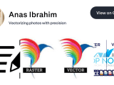 Anas Ibrahim On Contra Vectorizing Photos With Precision