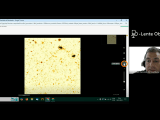 How To Perform Analysis In Virtual Microscopy Controllab