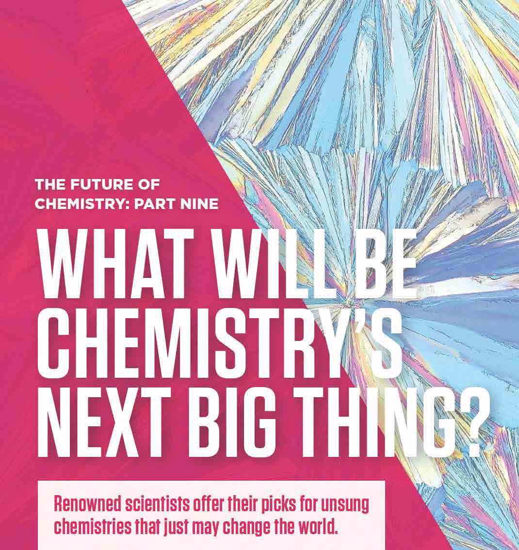 future – Michelle Coote