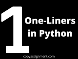 10 Useful Python One Liners Copyassignment