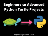 Draw A Flower Using Python Turtle Copyassignment
