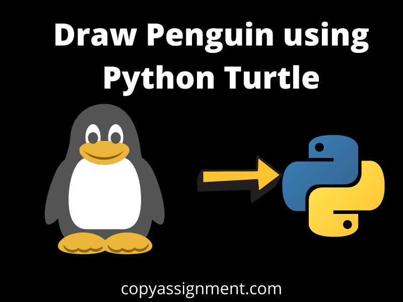 Draw Penguin Using Python Turtle Copyassignment - Retina Minimal Images for Desktop