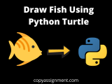 Draw Spiral Shapes Using Python Turtle Copyassignment
