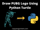 Draw Pubg Logo Using Python Turtle Copyassignment
