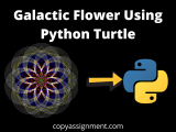Draw A Flower Using Python Turtle Copyassignment